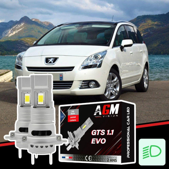 LED Bulbs for PEUGEOT 5008